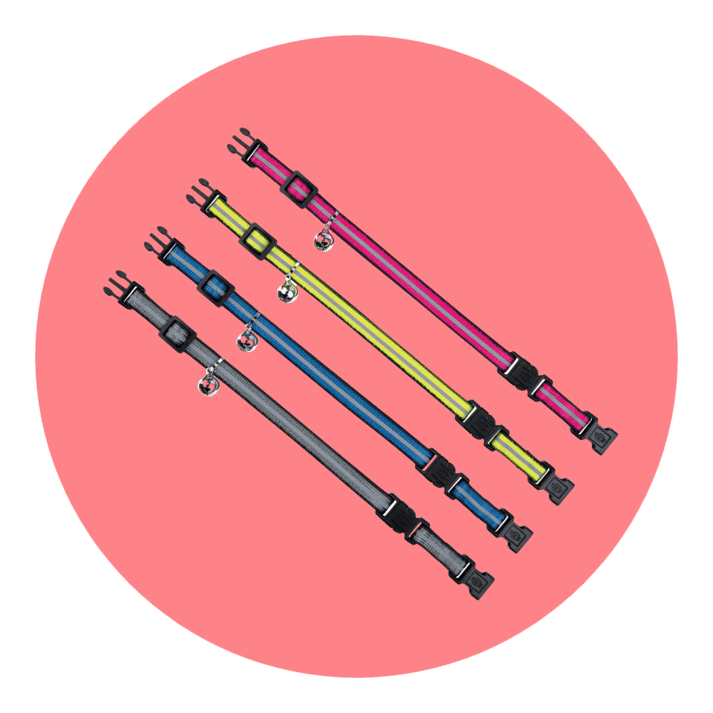 Dýraríkið • Ólar og beisli