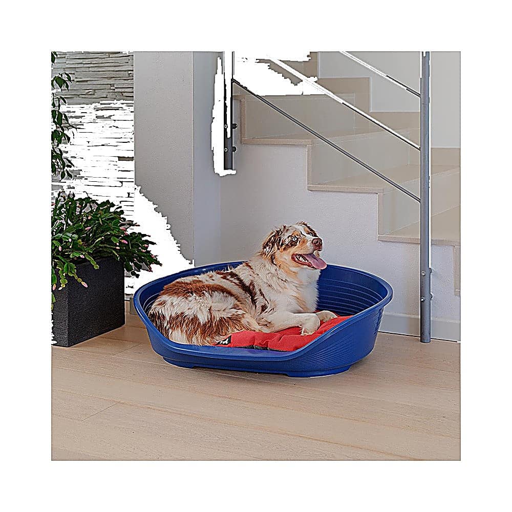 Plastrúm Siesta 6 Bleikt