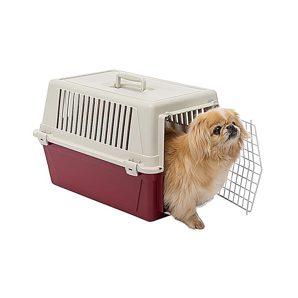 Dýraríkið • Atlas 10 El