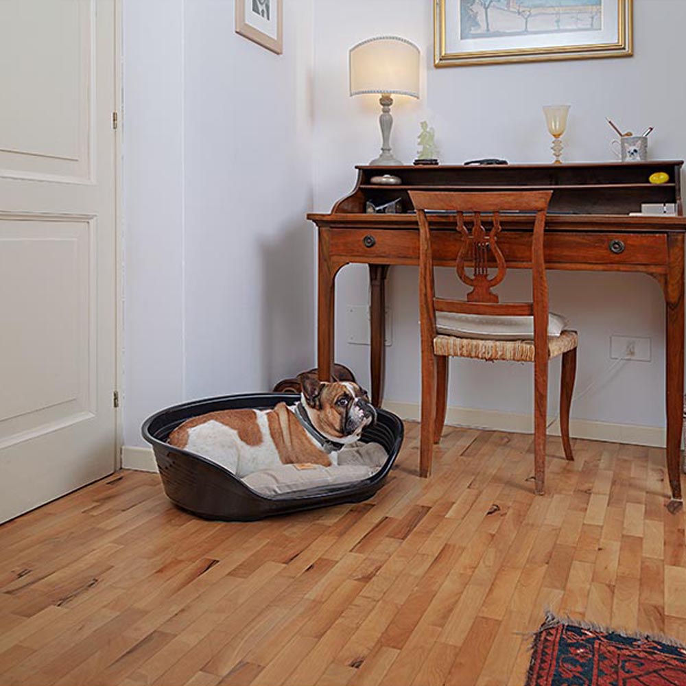 Plastrúm Siesta 6 Bleikt • Dýraríkið