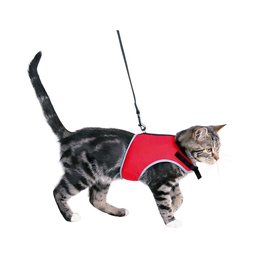 Soft Harness with Lead • Dýraríkið